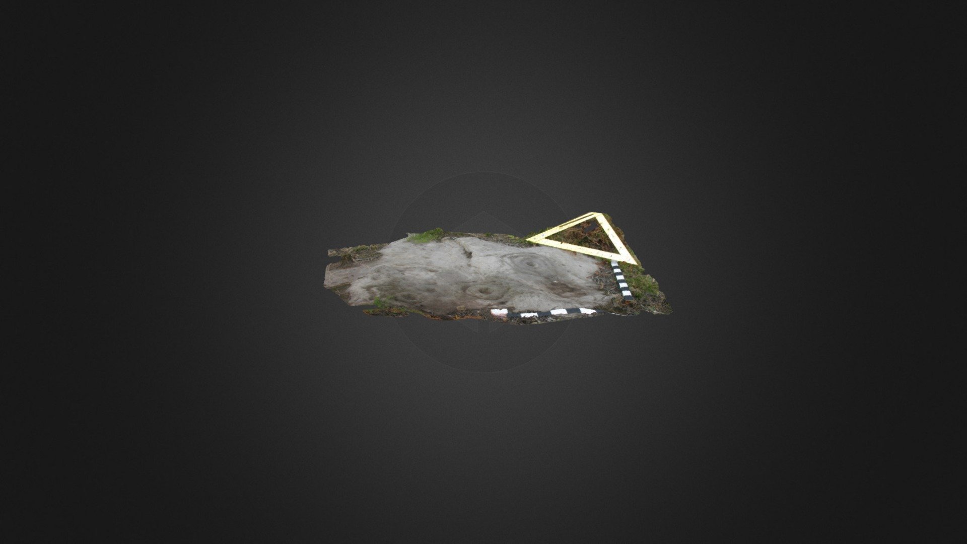 Stoupe Brow - 3D model by Rockrich [3bc6f7c] - Sketchfab