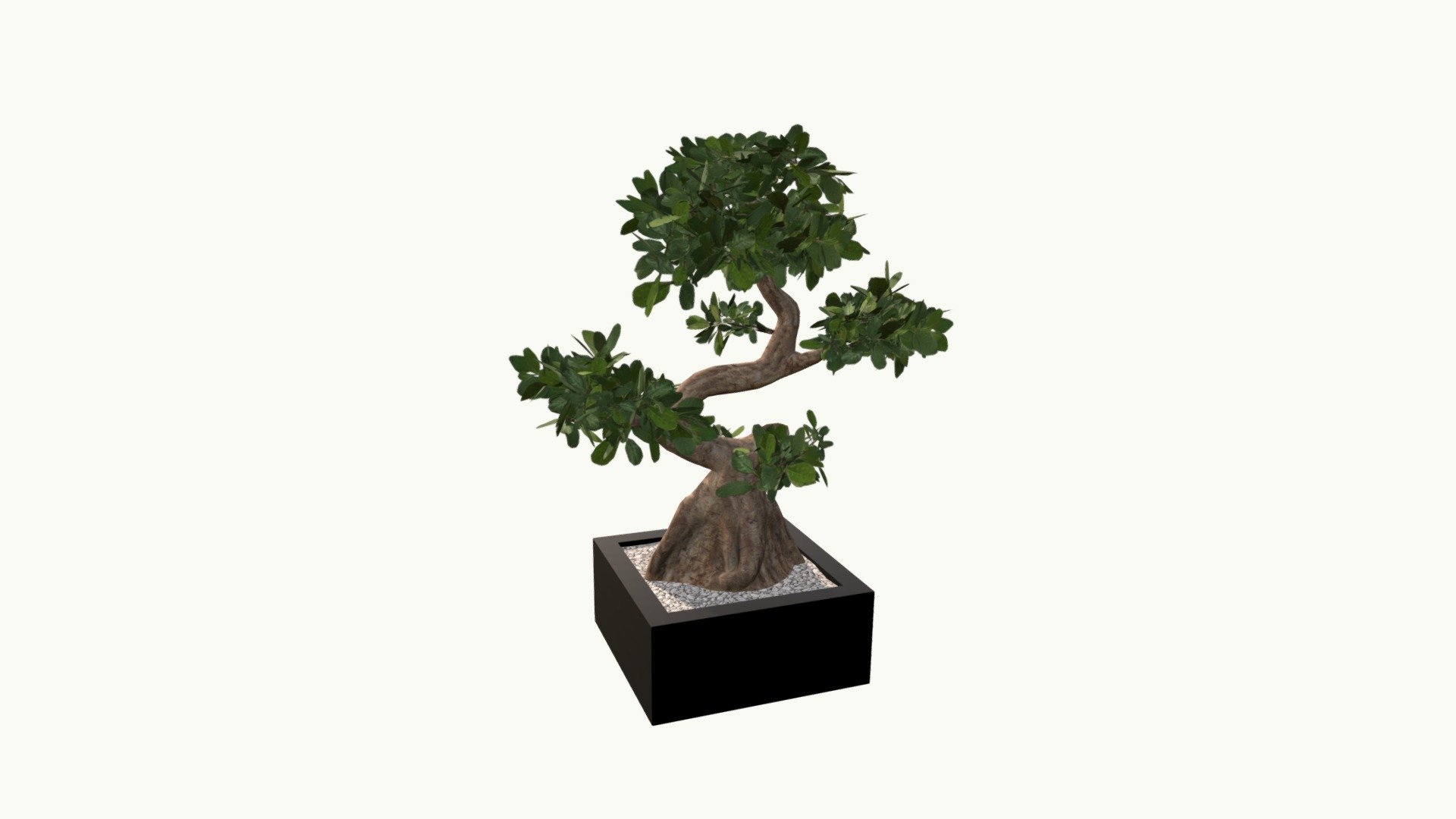 Panda Bonsai - 3D model by WorldofWaw [3bd022f] - Sketchfab