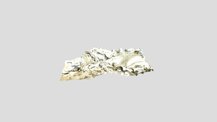 Ground-sloth 3D models - Sketchfab