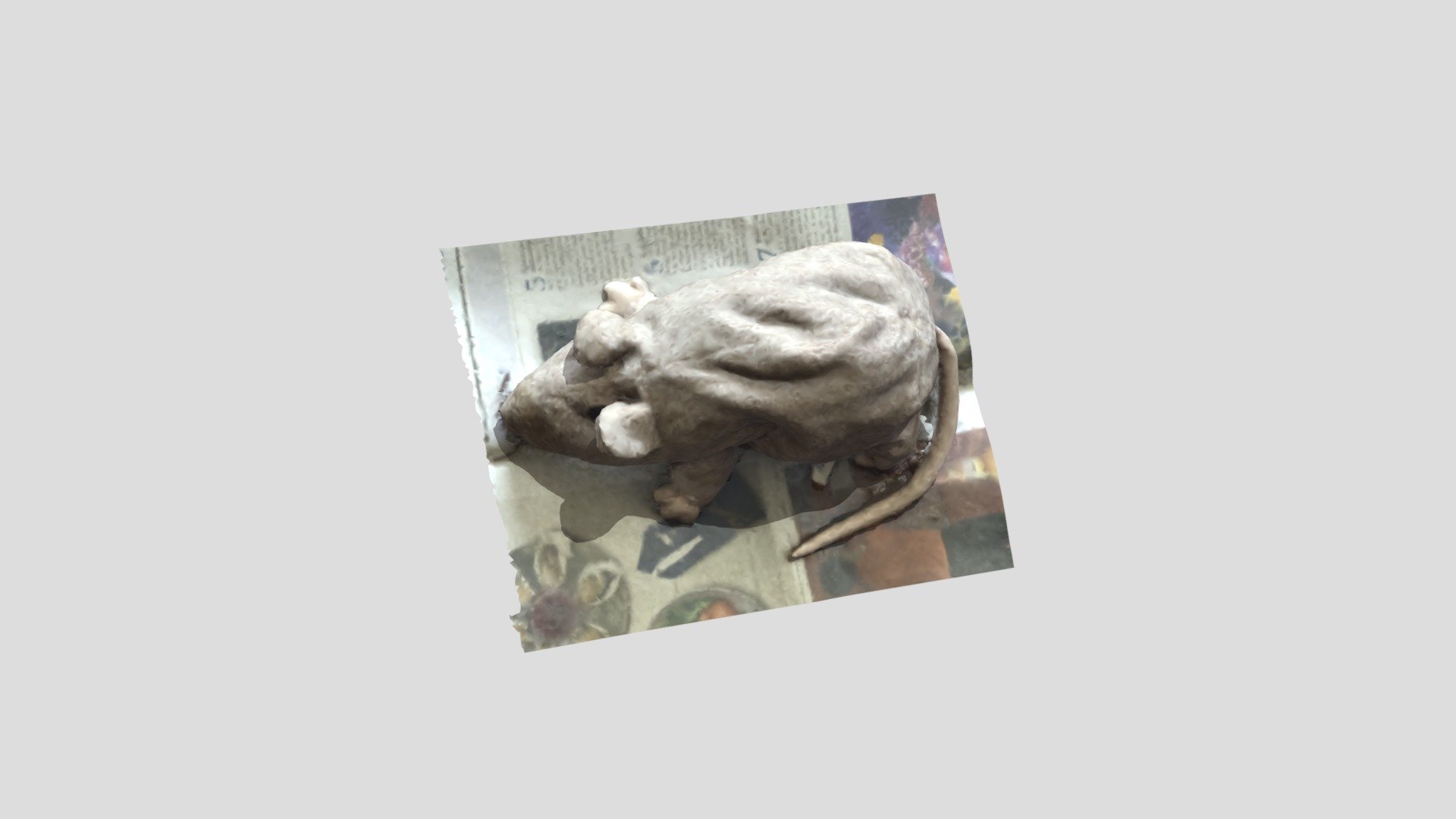 Ratty - Download Free 3D model by HannahPlatts [3bd608f] - Sketchfab
