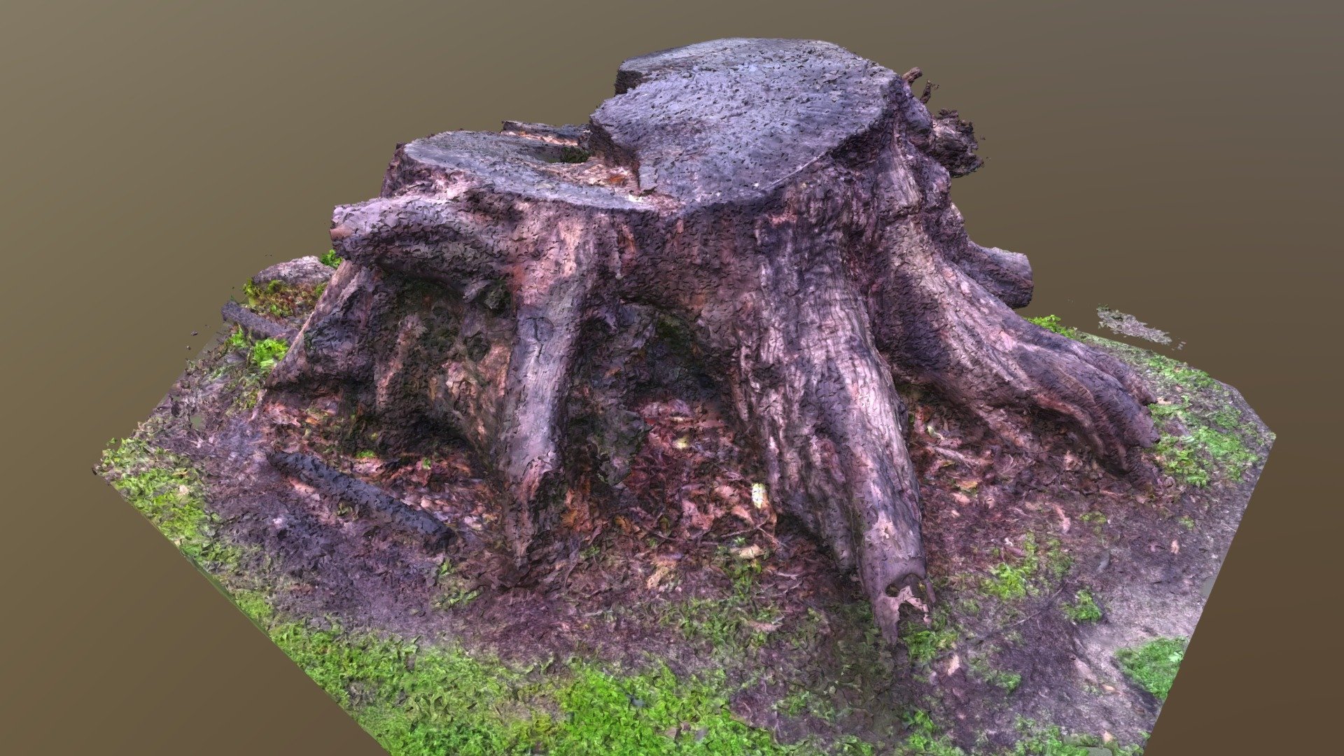 Tree Stump - 3D model by Matthew Strong (@technolizardms) [3bdde78 ...