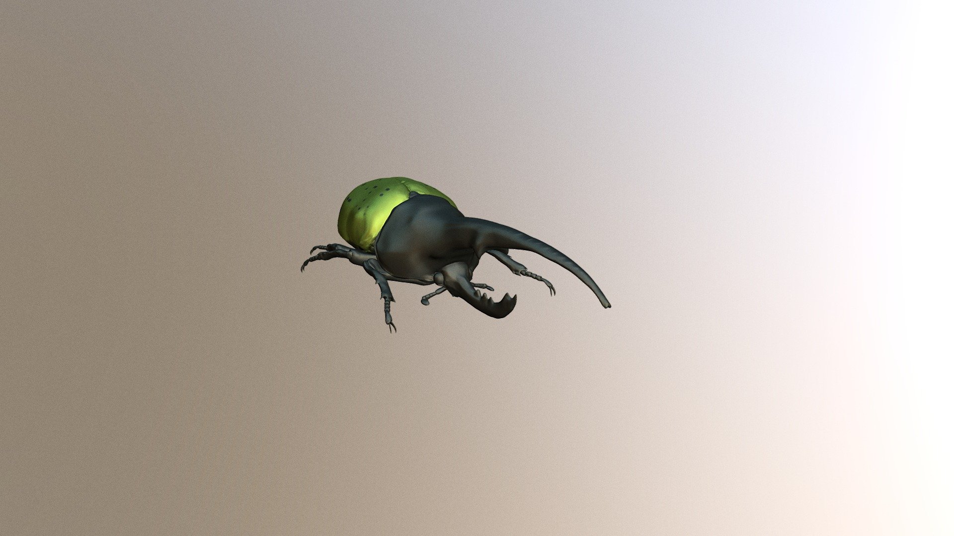 hercules - 3D model by shiroheri [3be2cc9] - Sketchfab