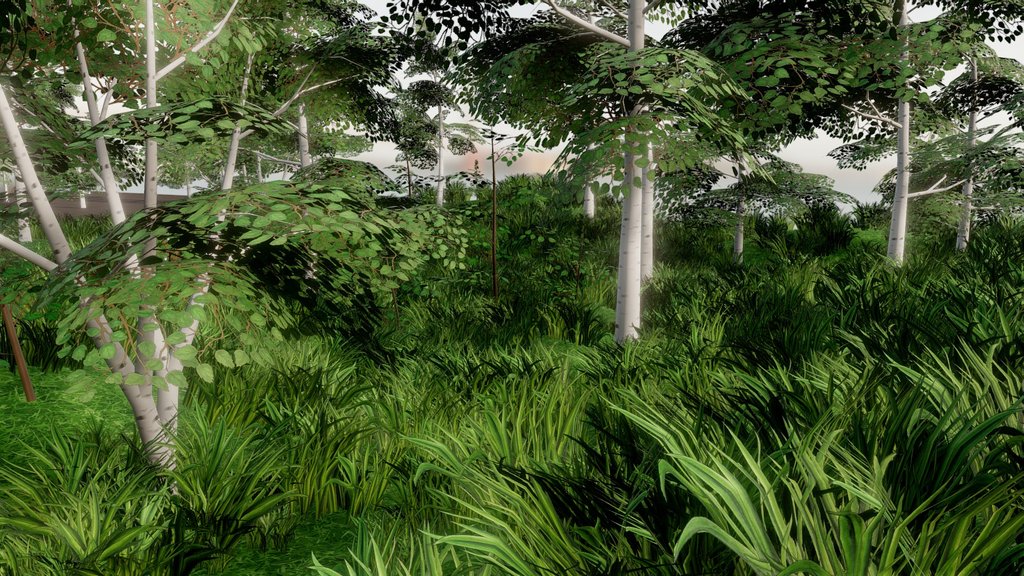 Forest Model - A 3D model collection by abdullahdar - Sketchfab