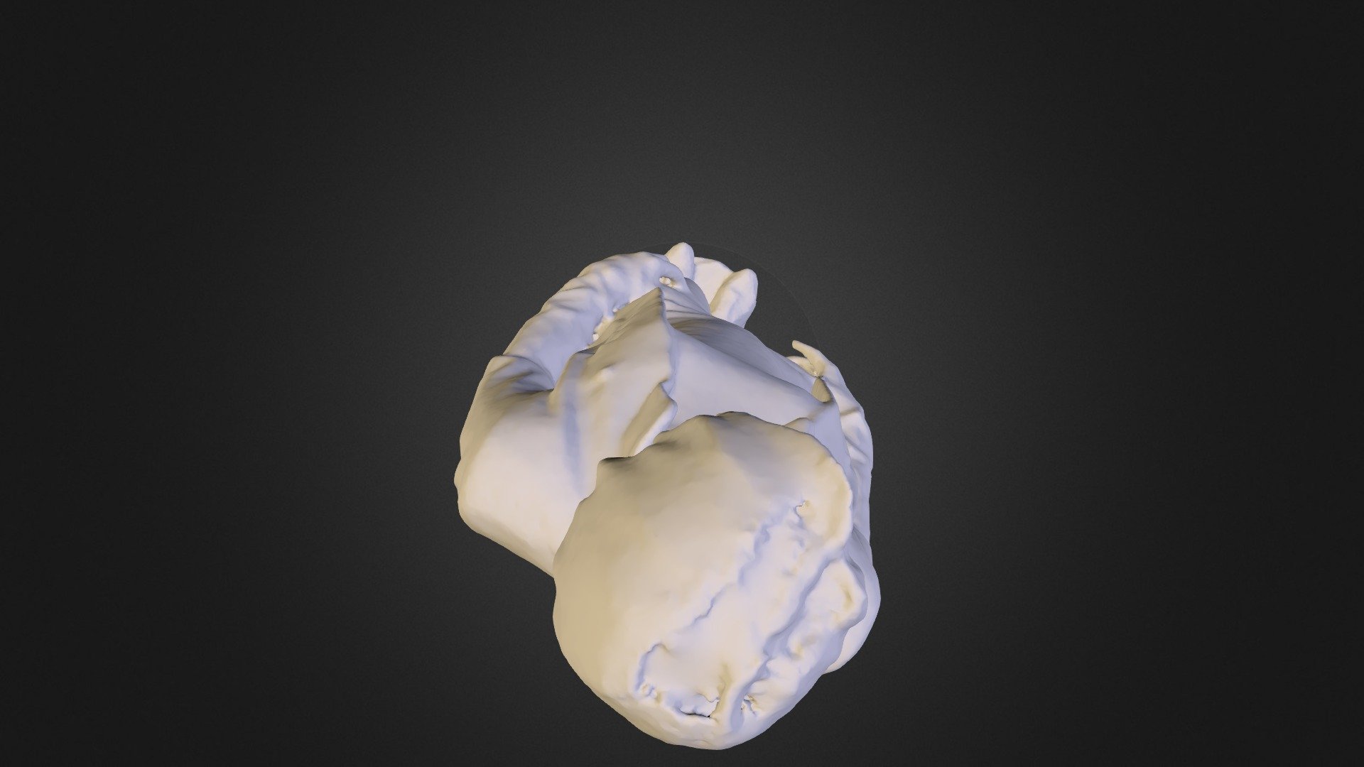 12-12ap - 3D model by nathalievdl [3bfcc51] - Sketchfab