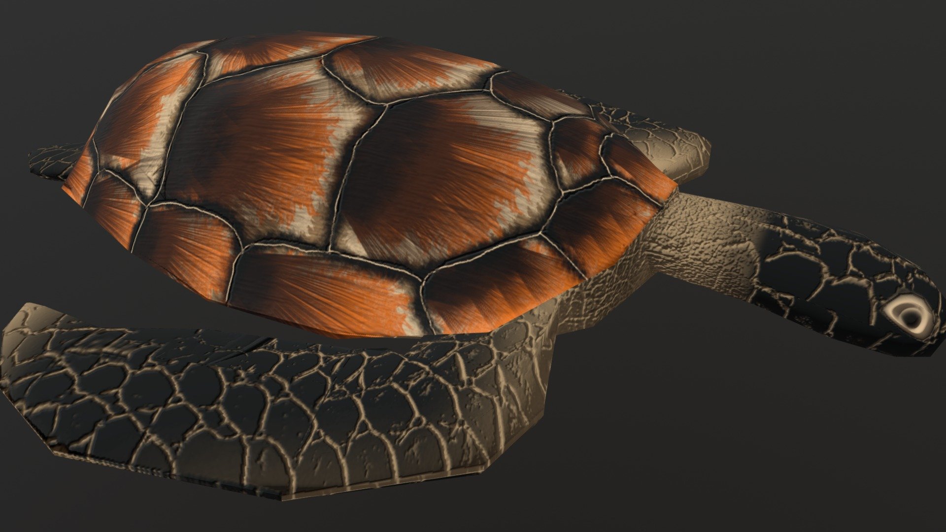 Sea Turtle Low Poly - Buy Royalty Free 3D model by RubaQewar [3c0441a ...