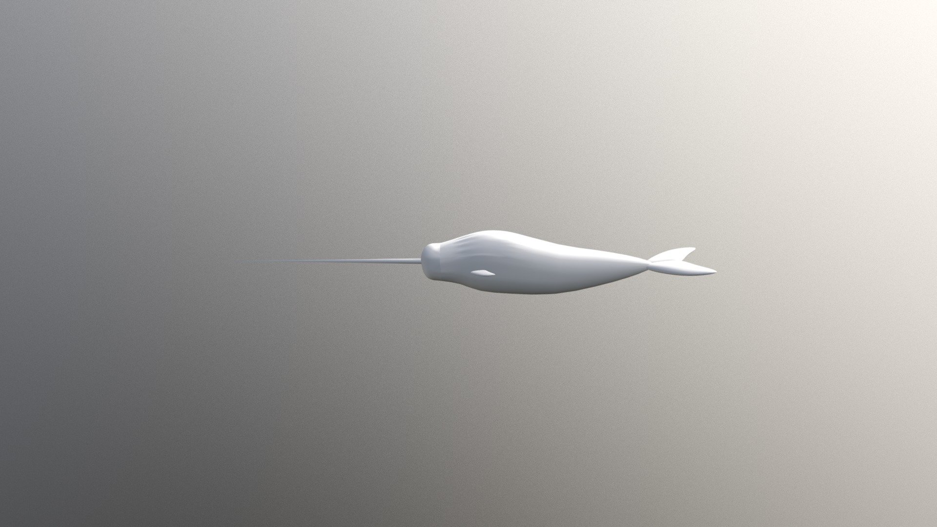 Narwhal Sketch - Download Free 3D model by hobem353 [3c068d1] - Sketchfab
