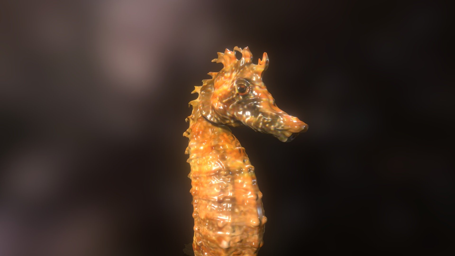 Seahorse Marine animated - Buy Royalty Free 3D model by ...