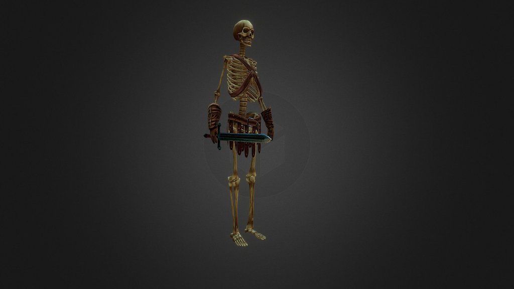 skeleton1 - 3D model by disartix01 [3c0bab4] - Sketchfab