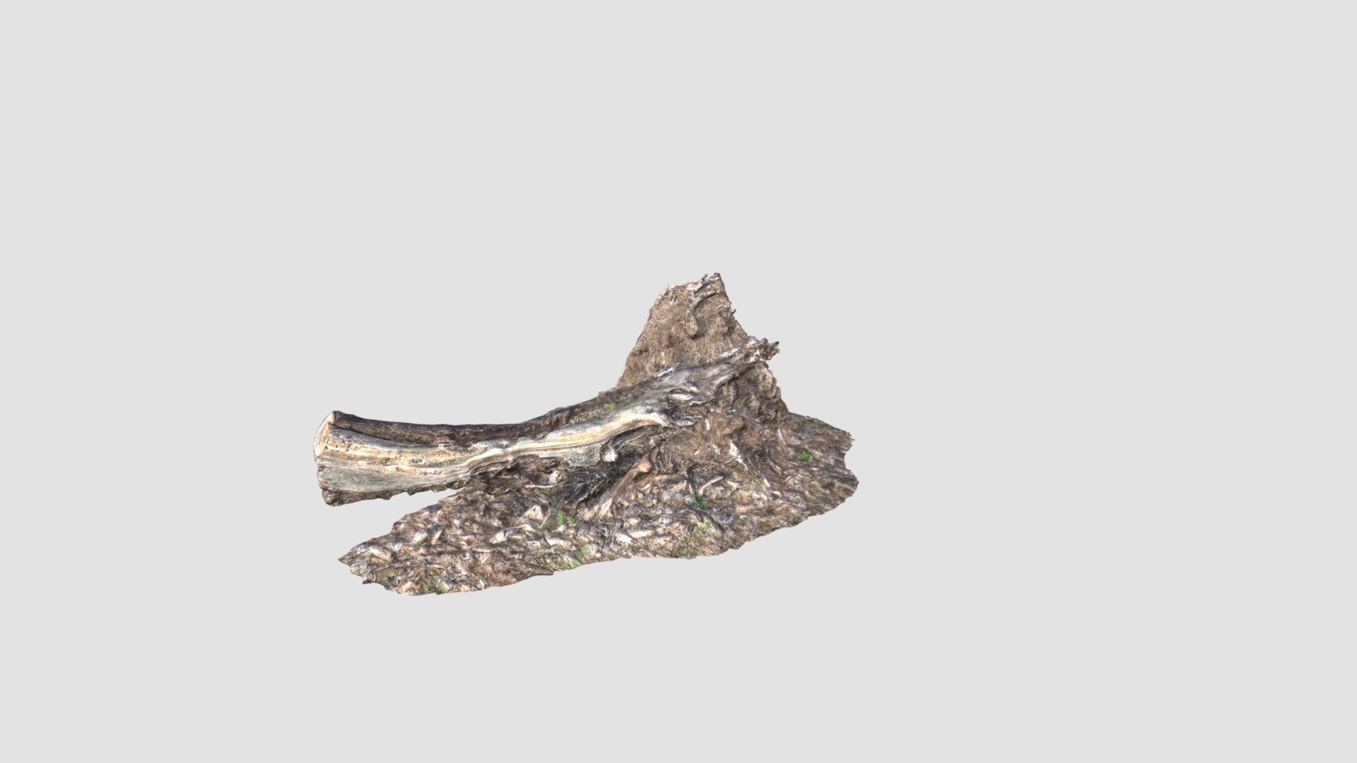 forest element - Buy Royalty Free 3D model by Evermotion [3c11032 ...