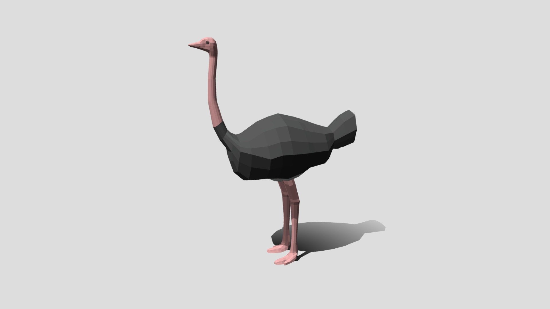 Low Poly Cartoon Ostrich - Buy Royalty Free 3D model by chroma3d ...