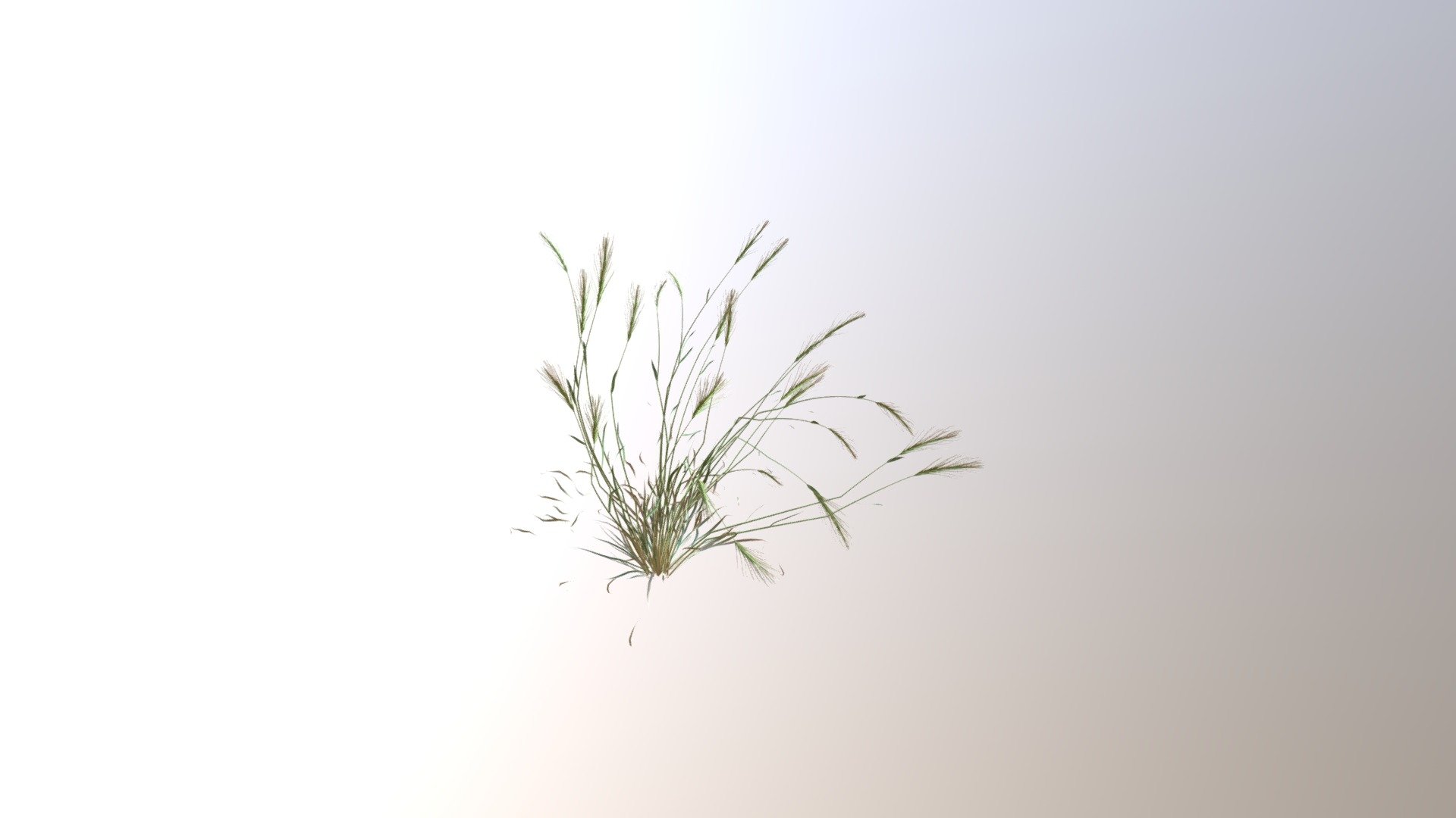 Co 1 - Download Free 3D model by thangtacong [3c13c51] - Sketchfab