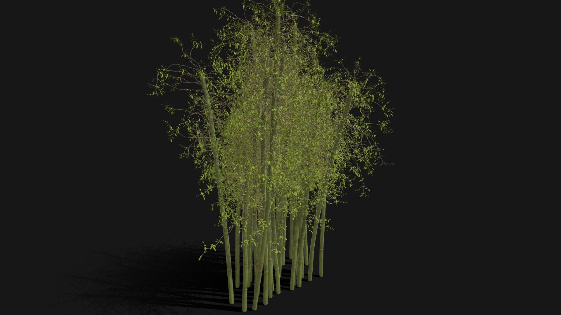 Bamboo - Download Free 3D model by local.yany [3c13dc8] - Sketchfab