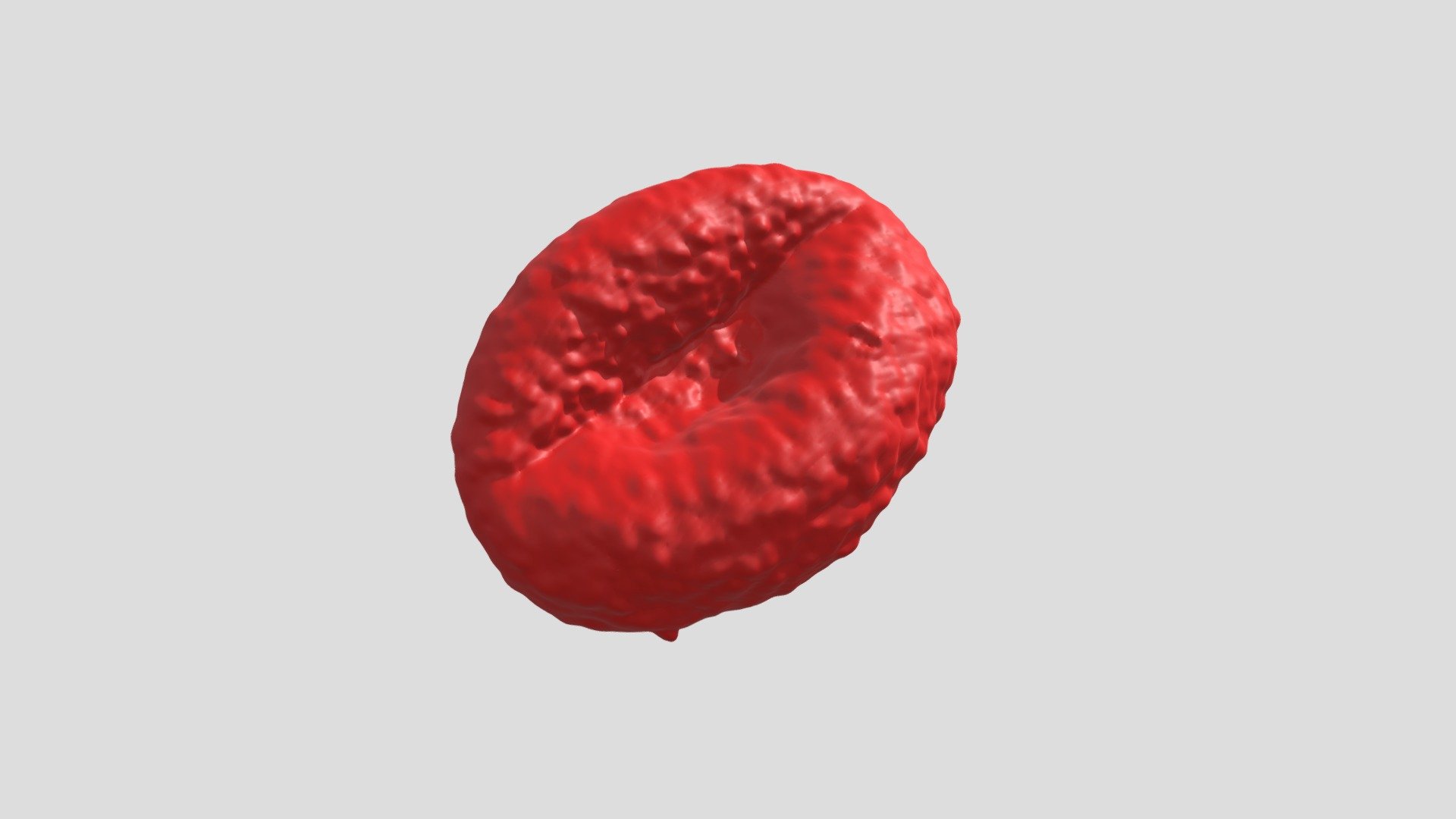 Common oak (Quercus robur) pollen - 3D model by Cardiff University ...