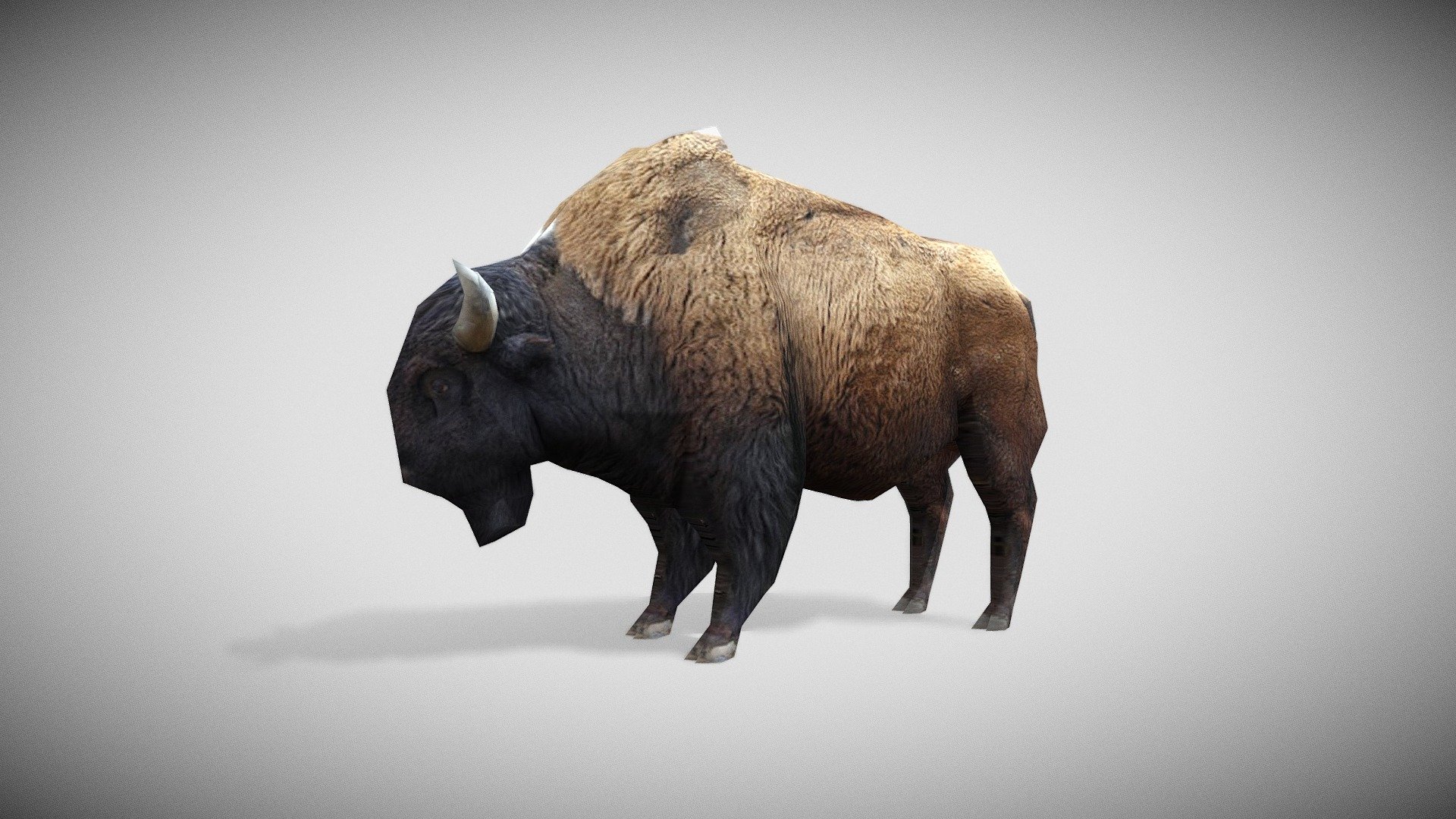 БИЗОН BISON - Download Free 3D model by Paleo Modelist (@victory ...