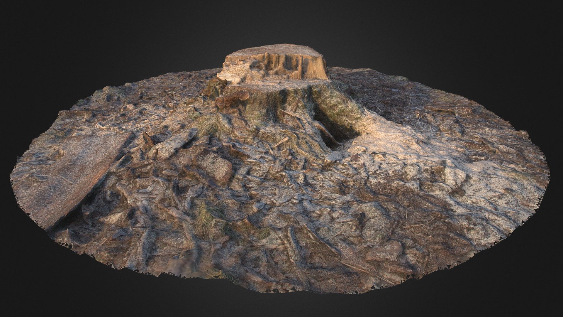 Tree stump - Download Free 3D model by Artyom Tarakanov ...
