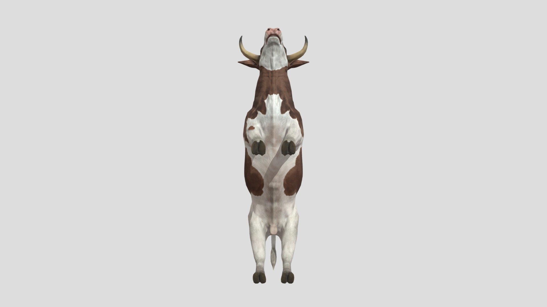 _BLEND_Bull_ - Download Free 3D model by Dakta.Grower.Nzl [3c20a30 ...