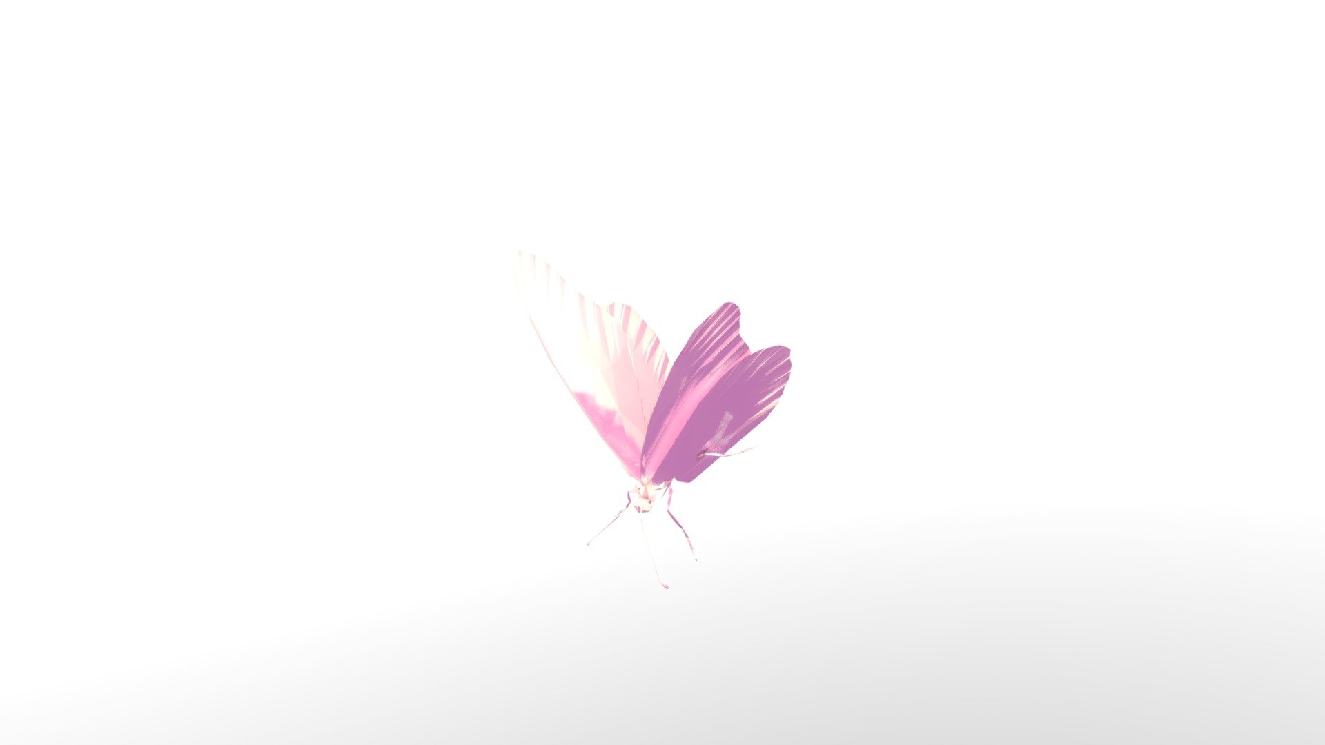 BatterflyAnime - Download Free 3D model by Zinaida.Kovrova [3c2155a ...