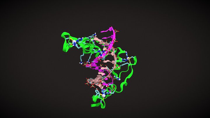 Proteins 3D models - Sketchfab