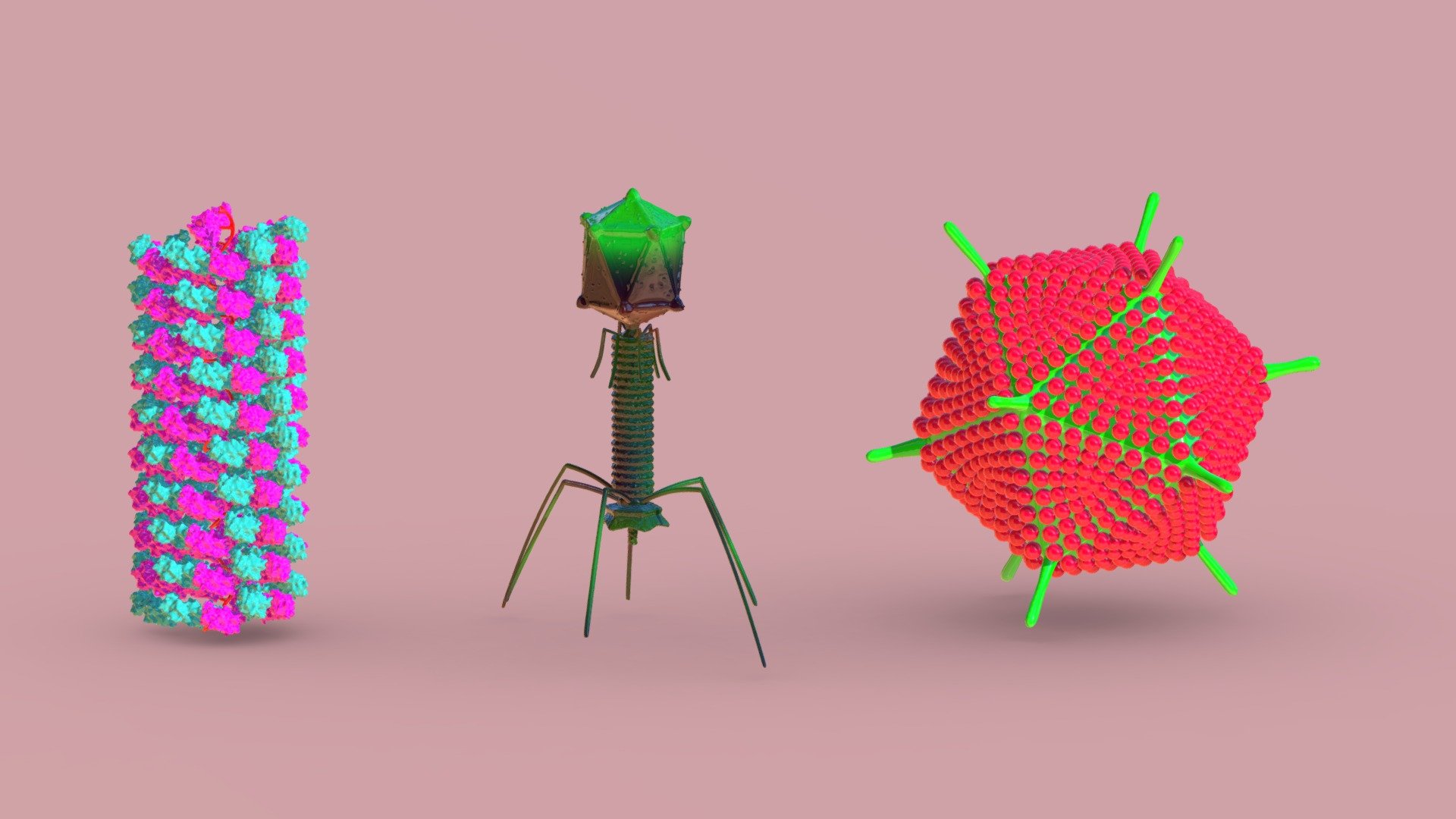 Virus Multipack - Buy Royalty Free 3D model by PARSONSARTS (@tomparsons ...