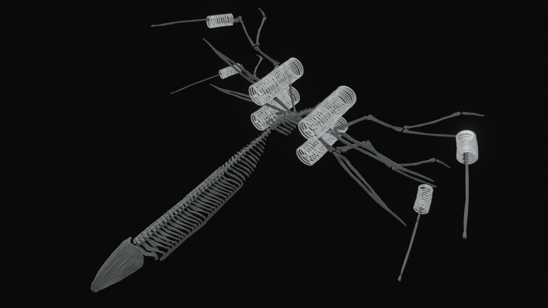 X-wing skeleton - 3D model by Ram (@Rambonam) [3c34355] - Sketchfab