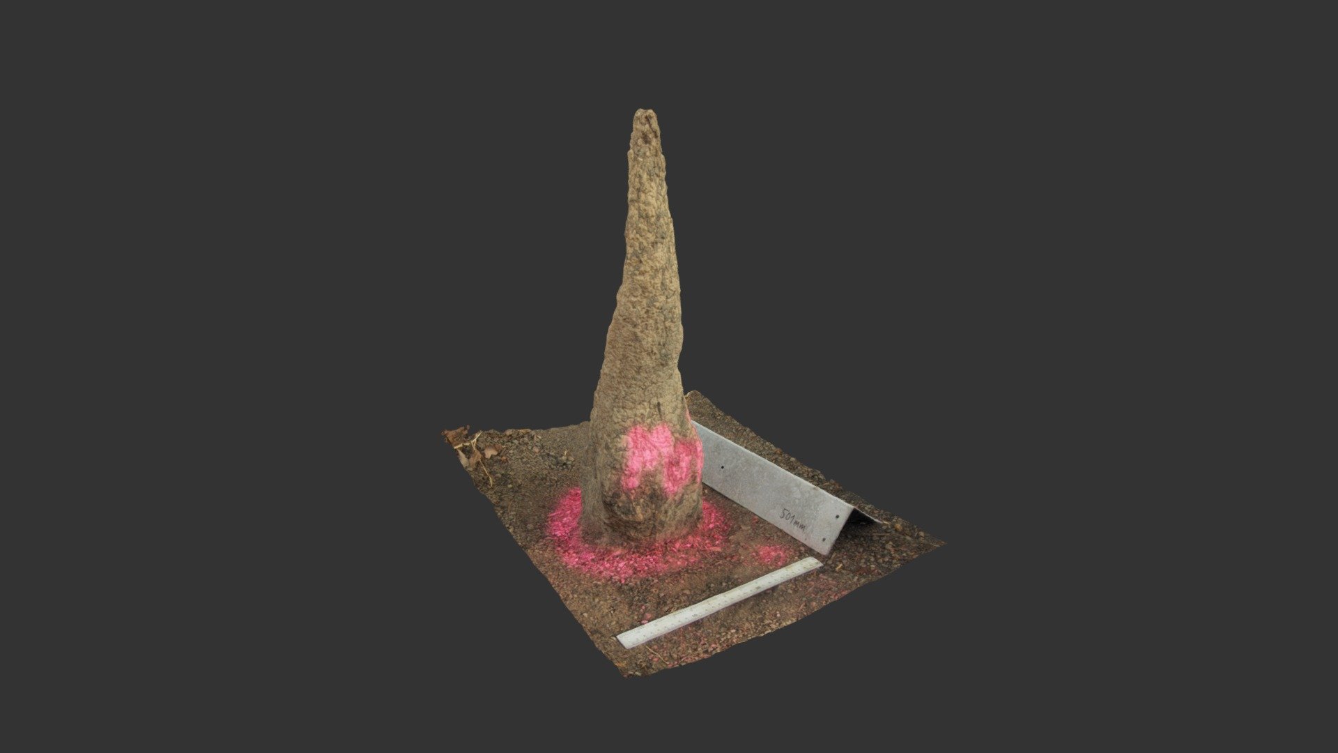 Termite mound Mn1-2017 - 3D model by pnauer [3c38d0b] - Sketchfab