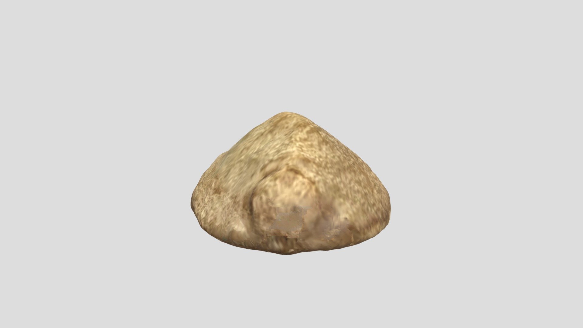 Hyalostragos patella - 3D model by rin209 [3c39275] - Sketchfab