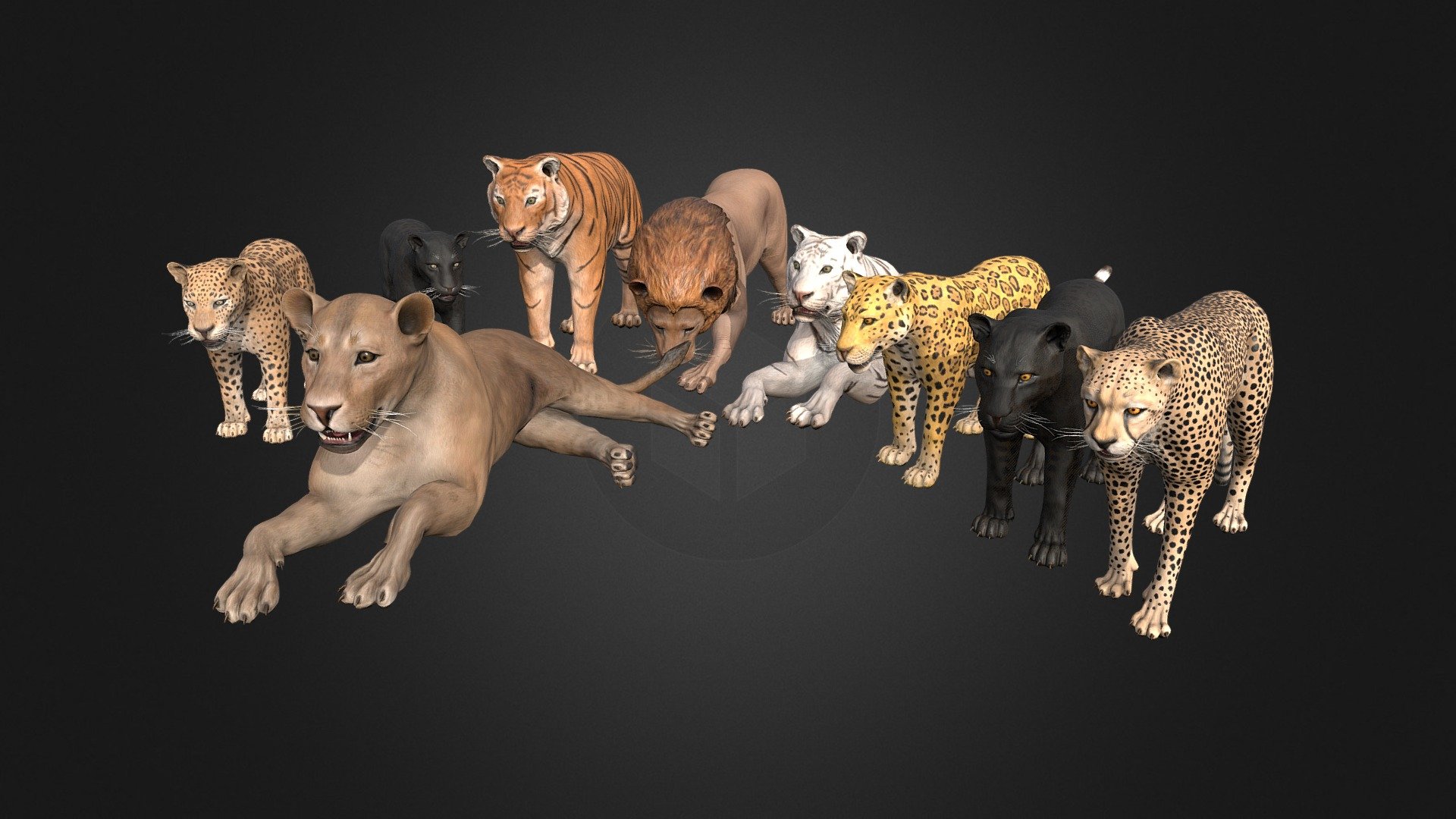 Wild African Cats - Buy Royalty Free 3D model by Rifat3D [3c3fcf1 ...