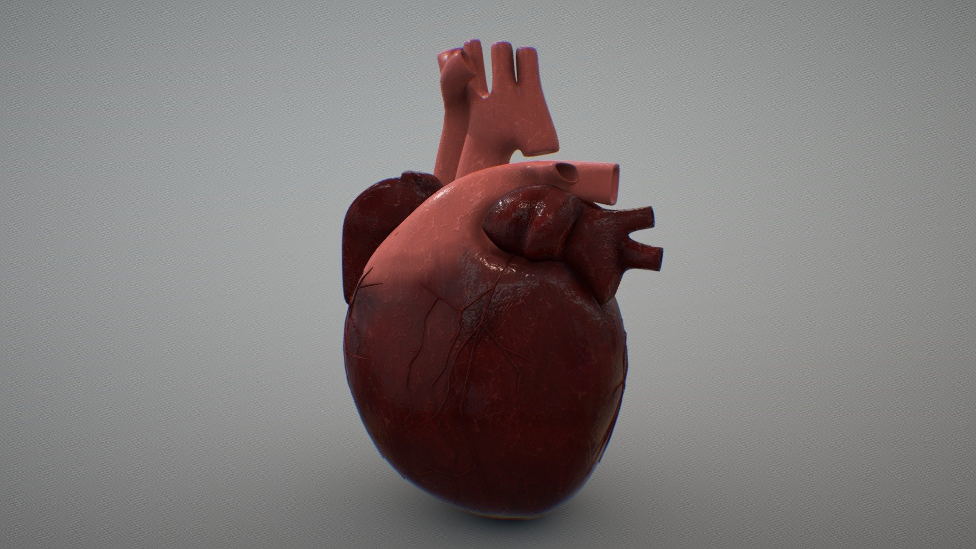 Heart - Sketchfab Weekly - Buy Royalty Free 3D model by Šimon Ustal ...
