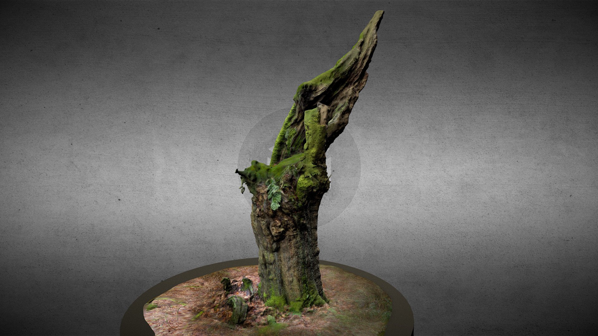 Old Oak tree - Savernake Forest (broken trunk) - 3D model by Mario ...