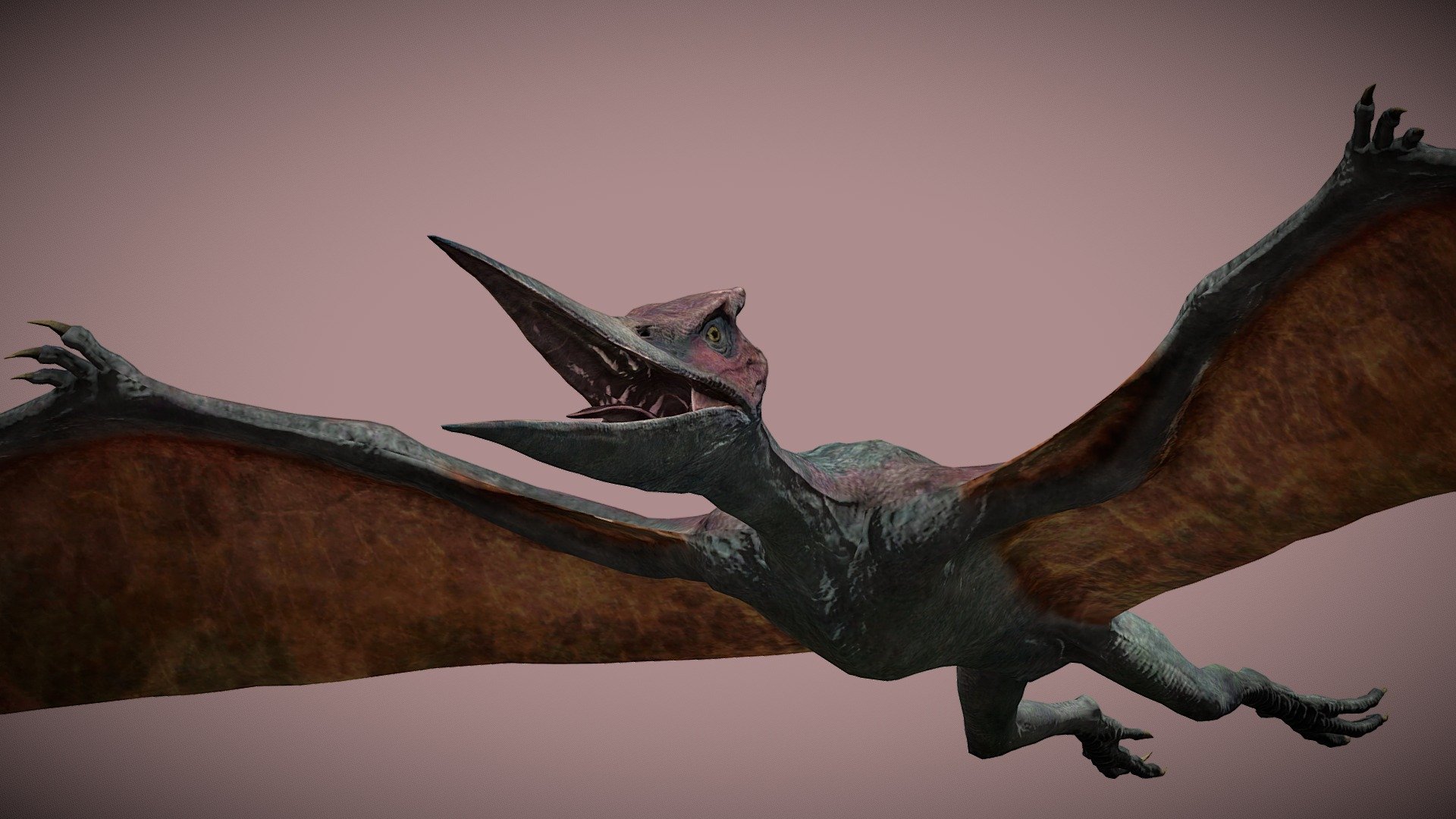 Jurassic World 2015 Pteranodon - Download Free 3D model by ...