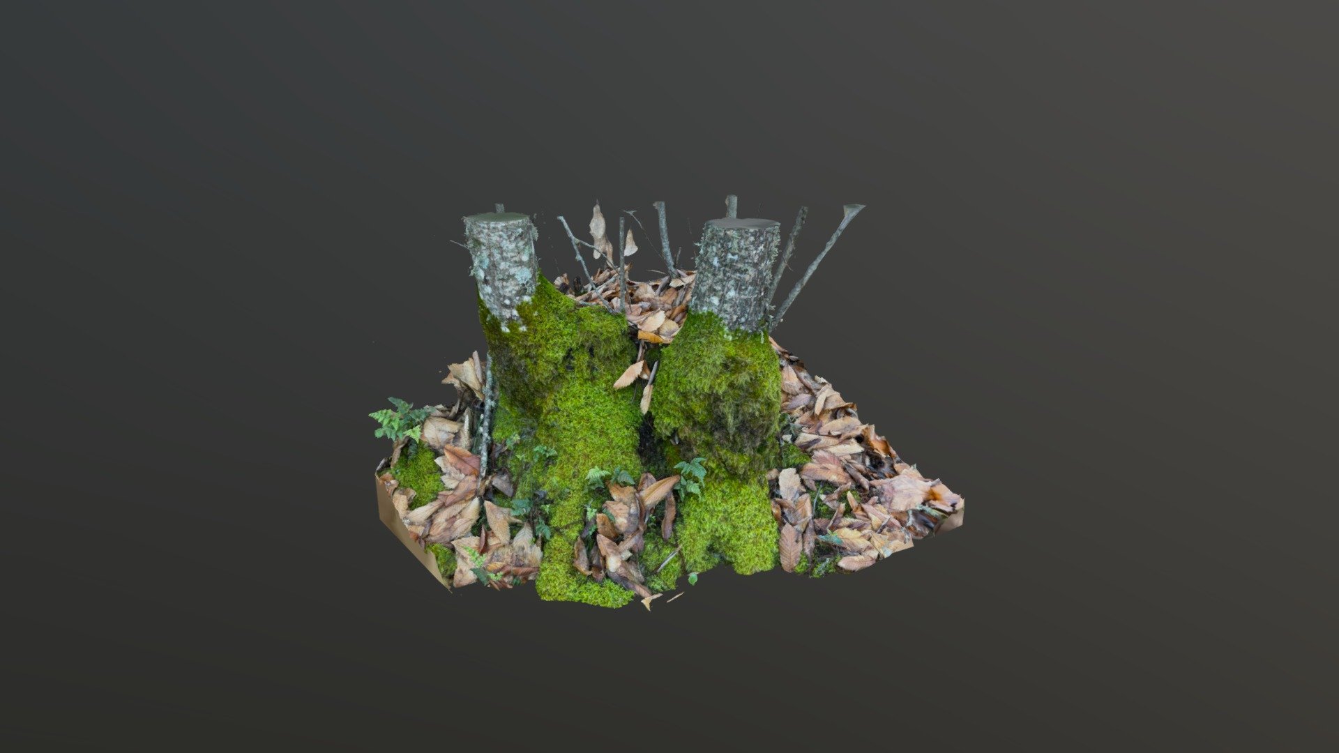 chestnut tree base - Download Free 3D model by manucpr [3c4d06c ...