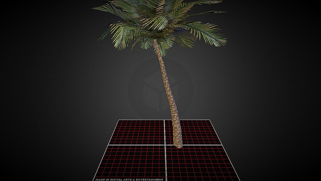 Palm_Tree - 3D model by nick.hintjes [3c4d3f6] - Sketchfab