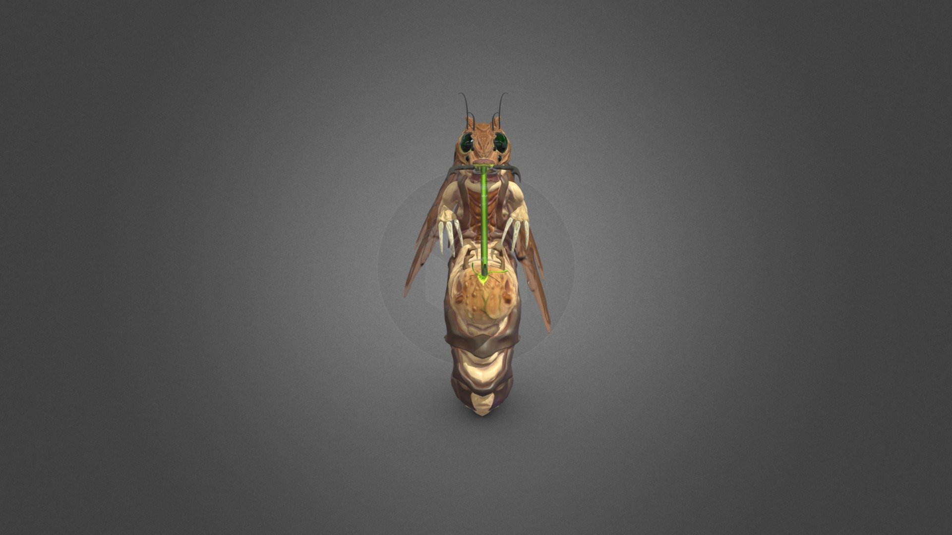 Pioter - 3D model by jeronne0609 [3c4f9a3] - Sketchfab