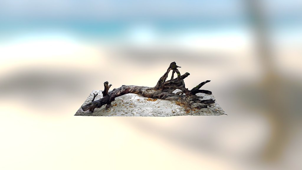 Dead branch structure - 3D model by MATAFENUA (@tahiti_chubak) [3c501ea ...