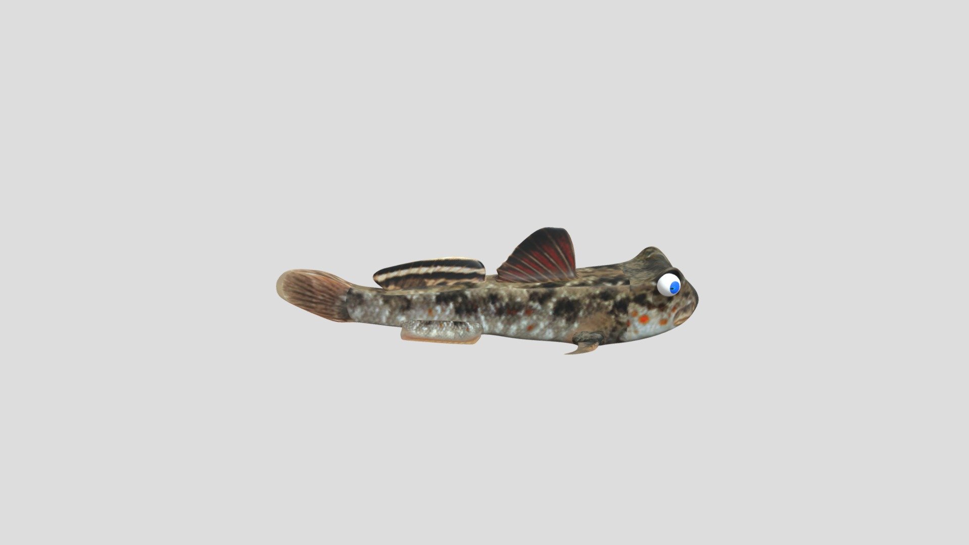 Mudskipper - 3D model by Sam (@sam60335668) [3c521ef] - Sketchfab