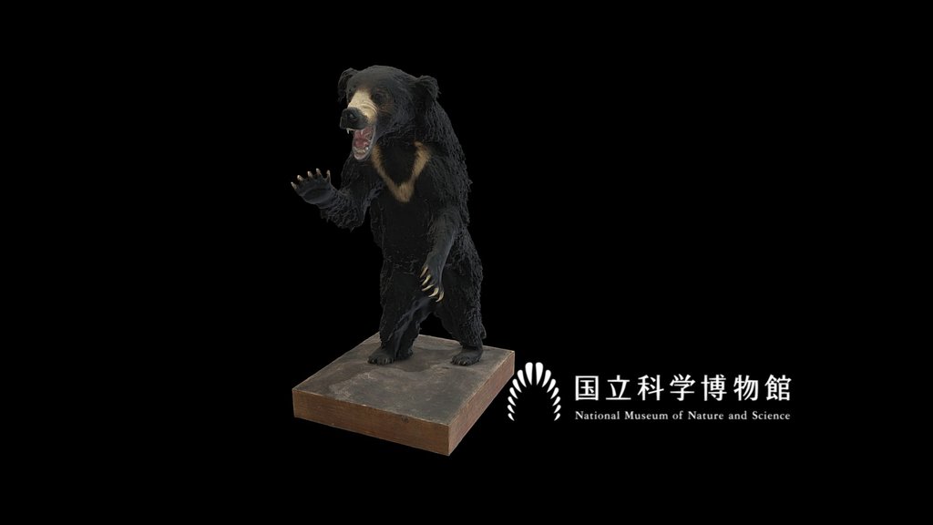 animals - mammals - A 3D model collection by McTeeth - Sketchfab