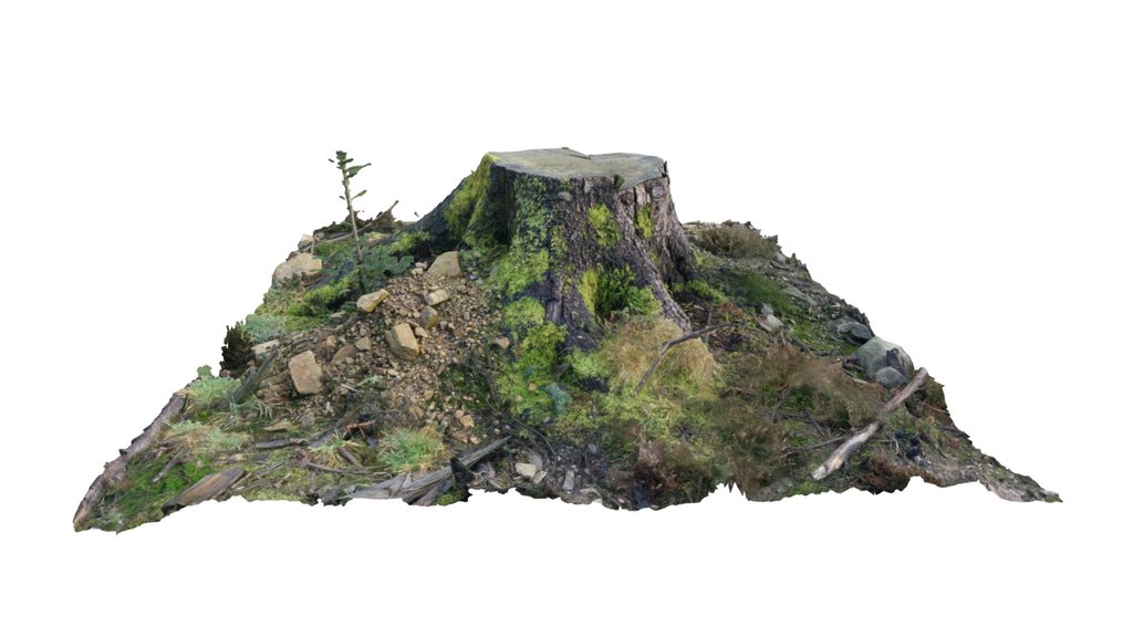 Nature - A 3D model collection by ysart77 - Sketchfab
