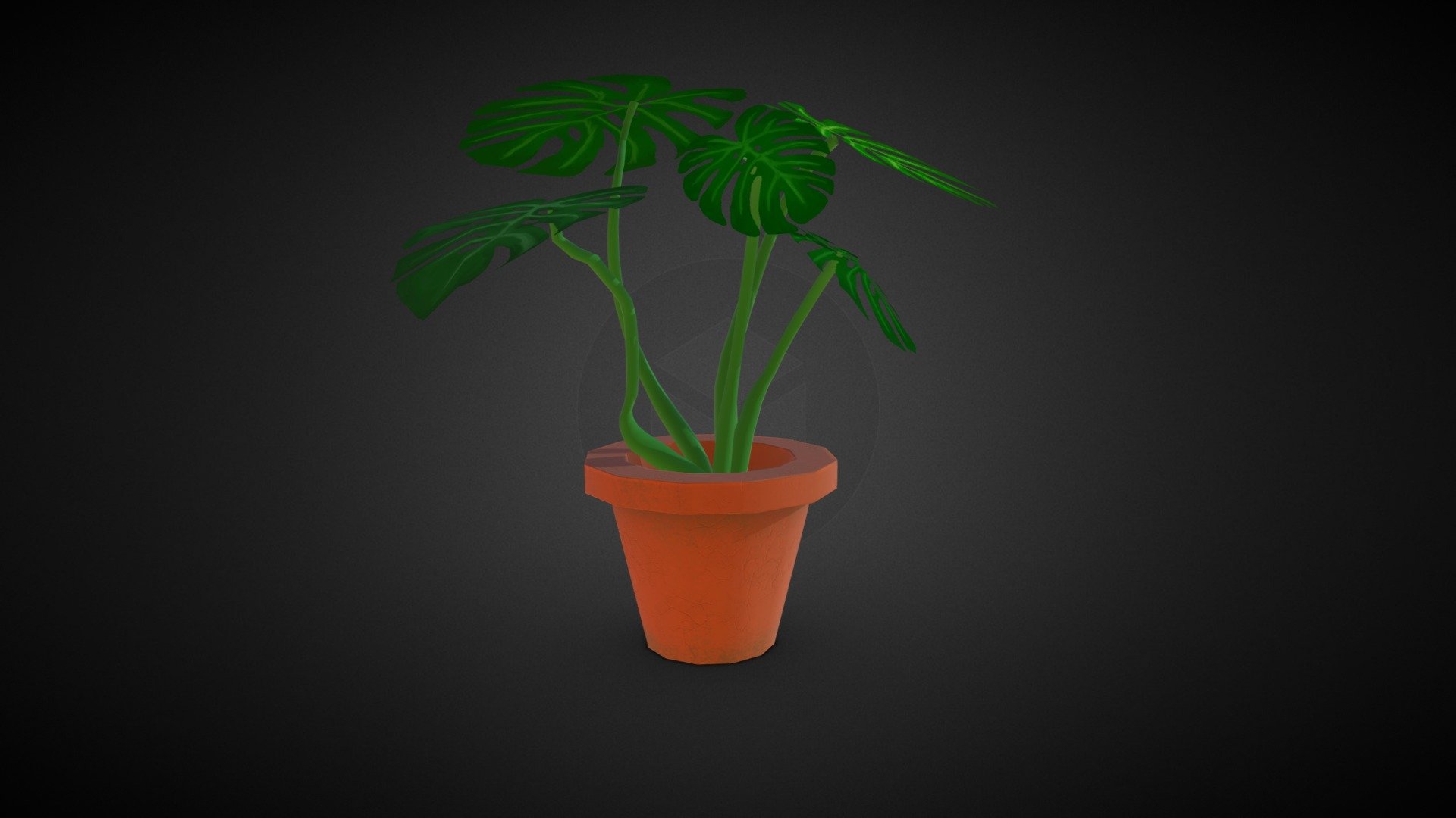 Monstera Plant - Download Free 3D model by Aafke van roon ...