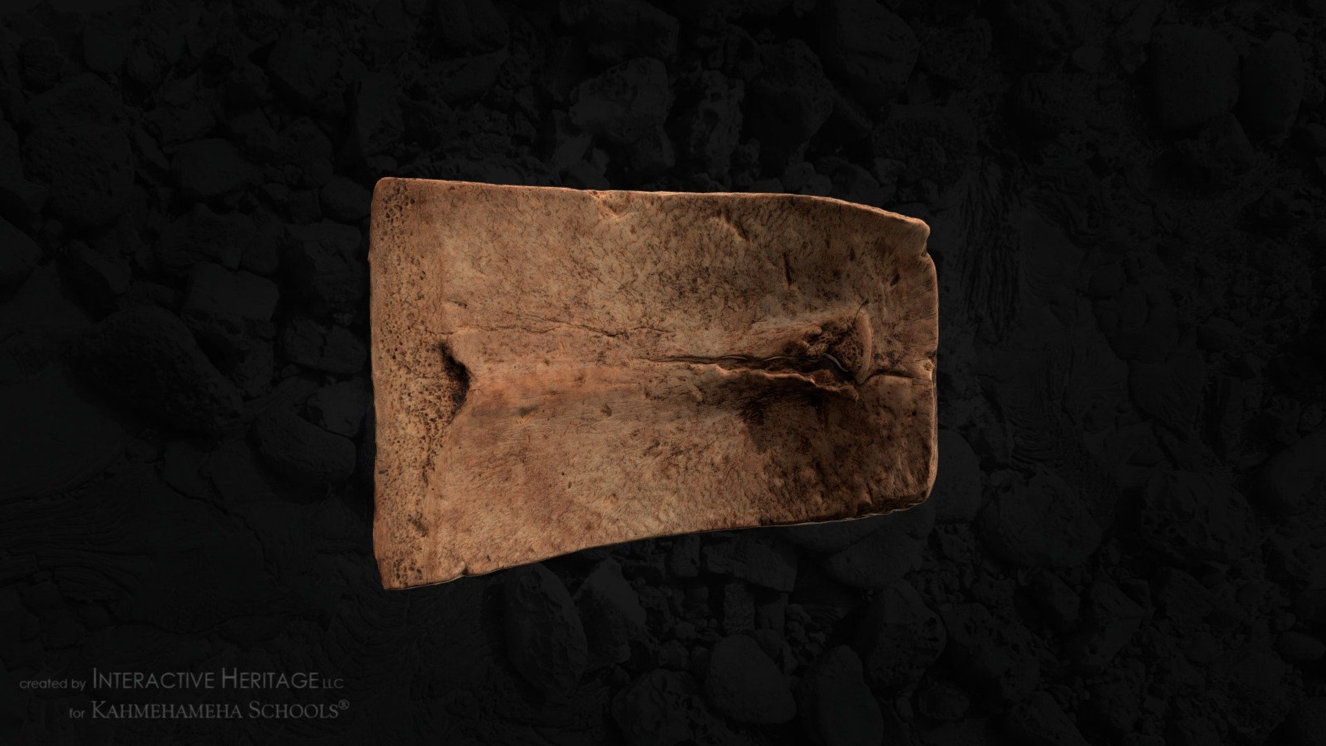 Kalepa - Turtle Bone Scraper (11143-10) - 3D model by ...