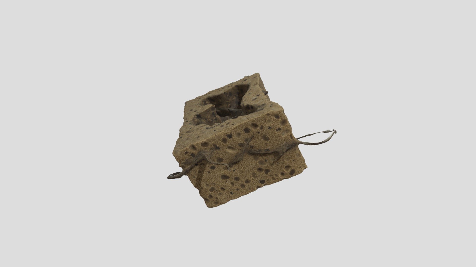 ENSAL_e223_BESSON_ELISA - 3D model by elibesson [3c6516b] - Sketchfab