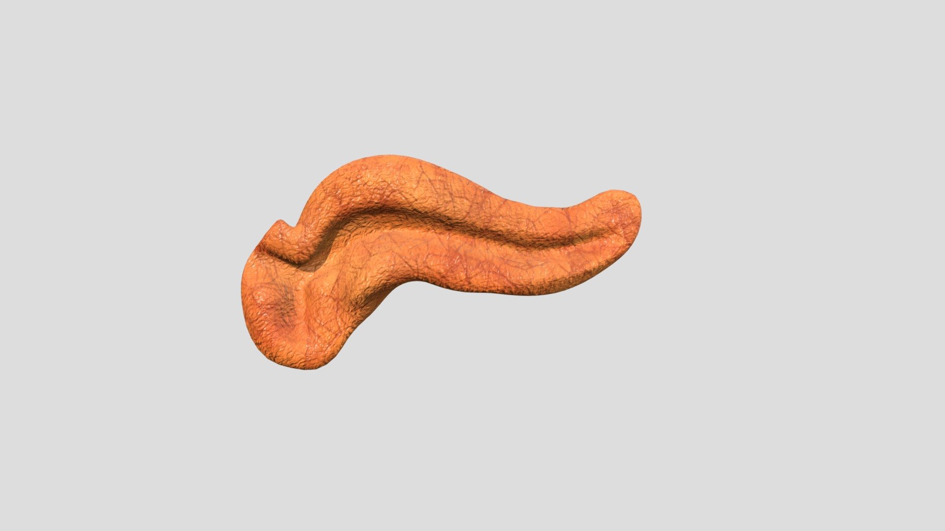 Pancreas - Download Free 3D model by Akhil (@akilchinnu0) [3c69a34 ...