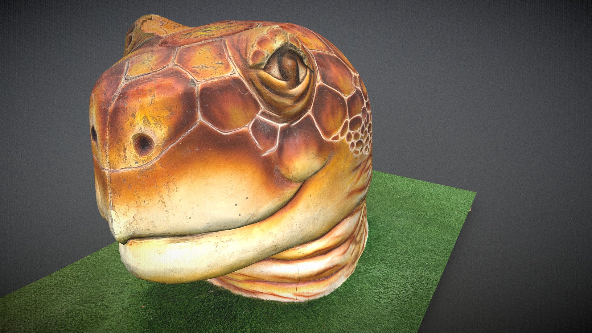 Turtle head - Download Free 3D model by Norod78 (@Norod) [3c69cea ...