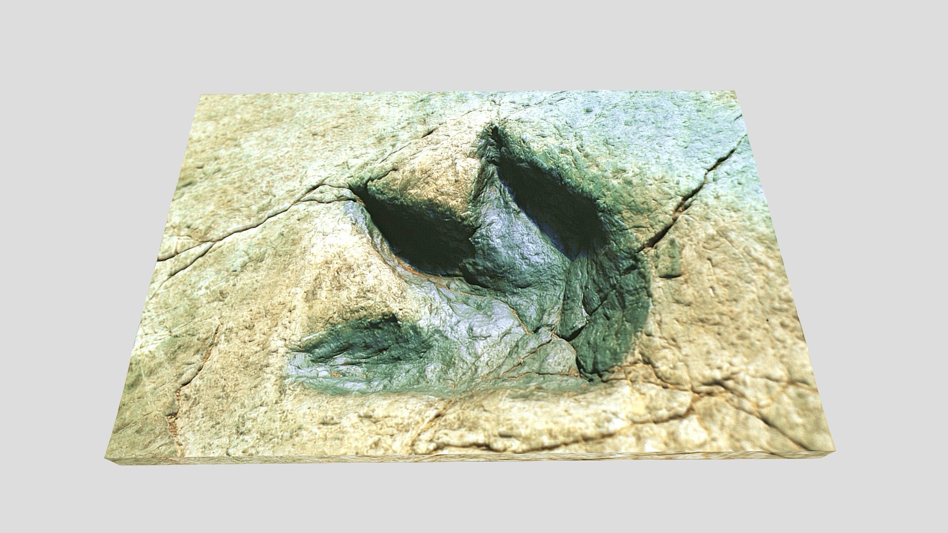 Footprint - fossil - dinosaur - 3D Printing - 3D model by SENSIET ...