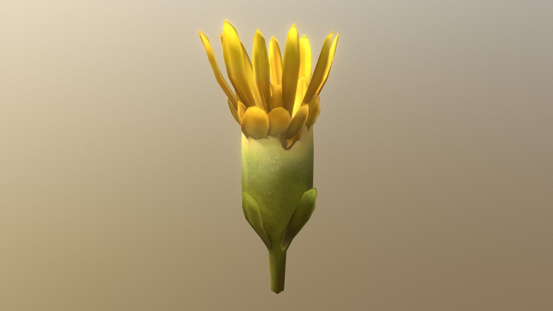 Goldenrod Blossom - Buy Royalty Free 3D model by Anežka Hájková ...
