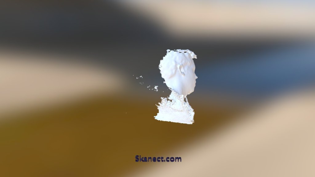 test - 3D model by jthimon [3c7a511] - Sketchfab