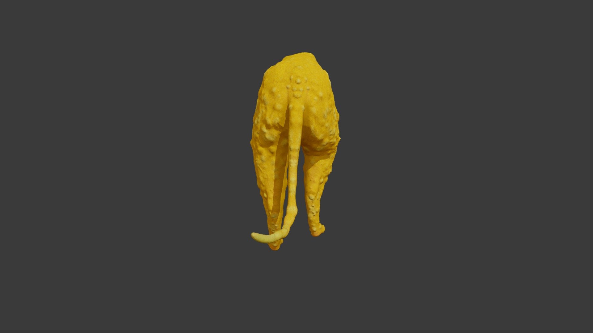 crookneck squash lion rump - 3D model by vinny roca (@pick.pan.puck ...