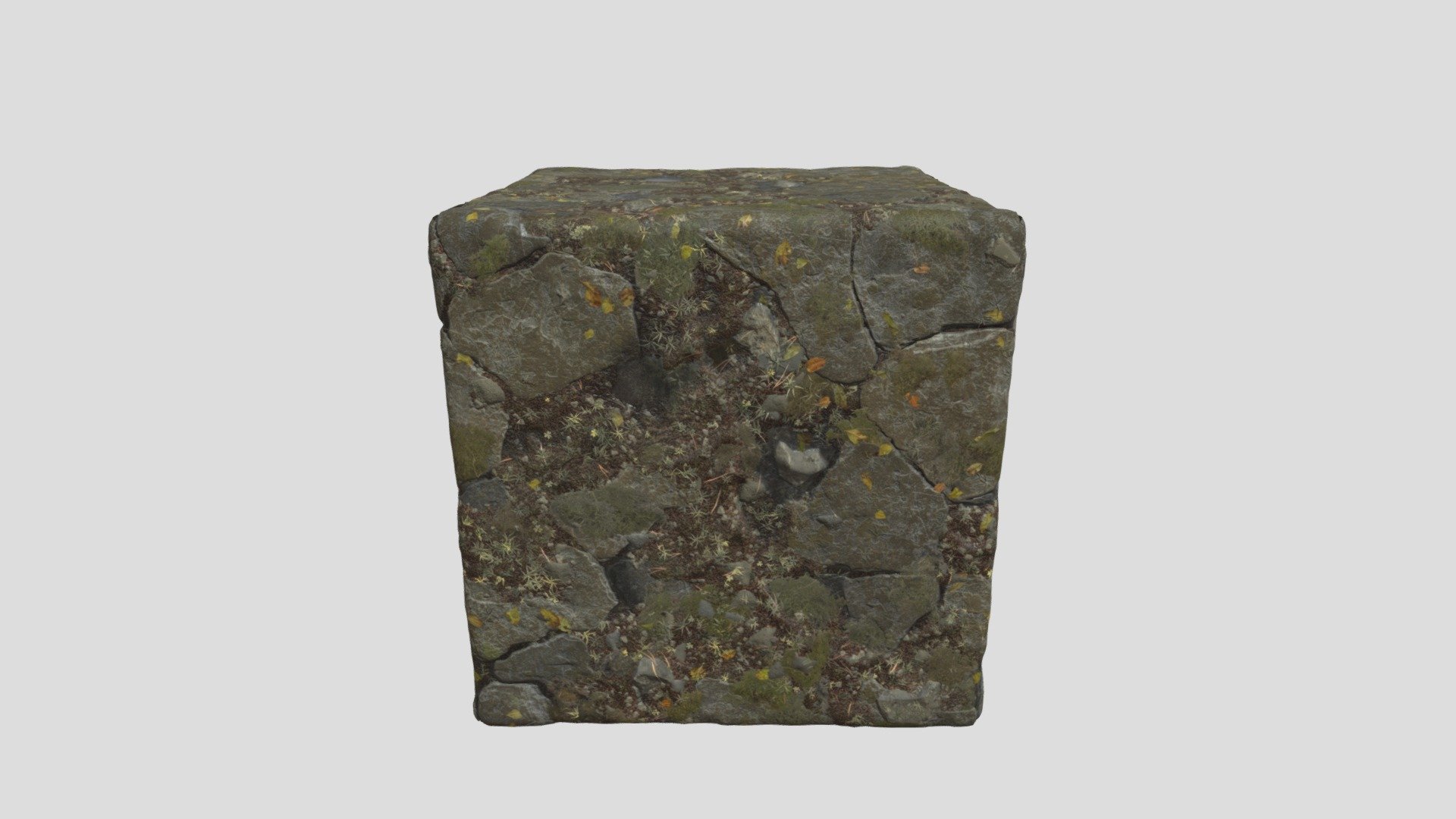Forest_Slate - 3D model by JasonZzz (@2856255365jager) [3c8af07 ...