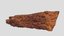 Martinsburg Formation crinoid columnals - Download Free 3D model by ...