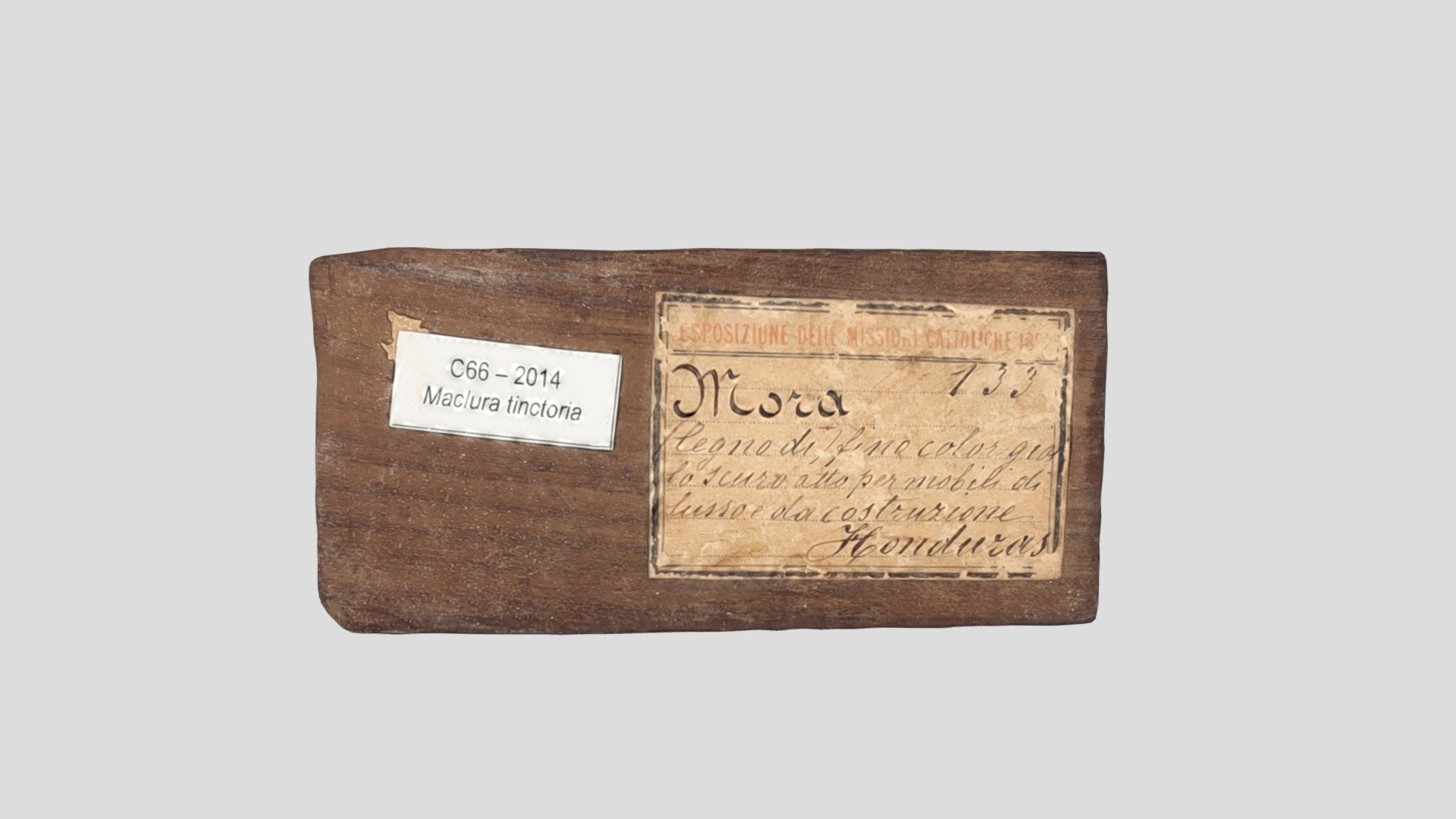 Wood Collection, Xylarium sample #5 - 3D model by SMA-UniGe [3c95bdf ...
