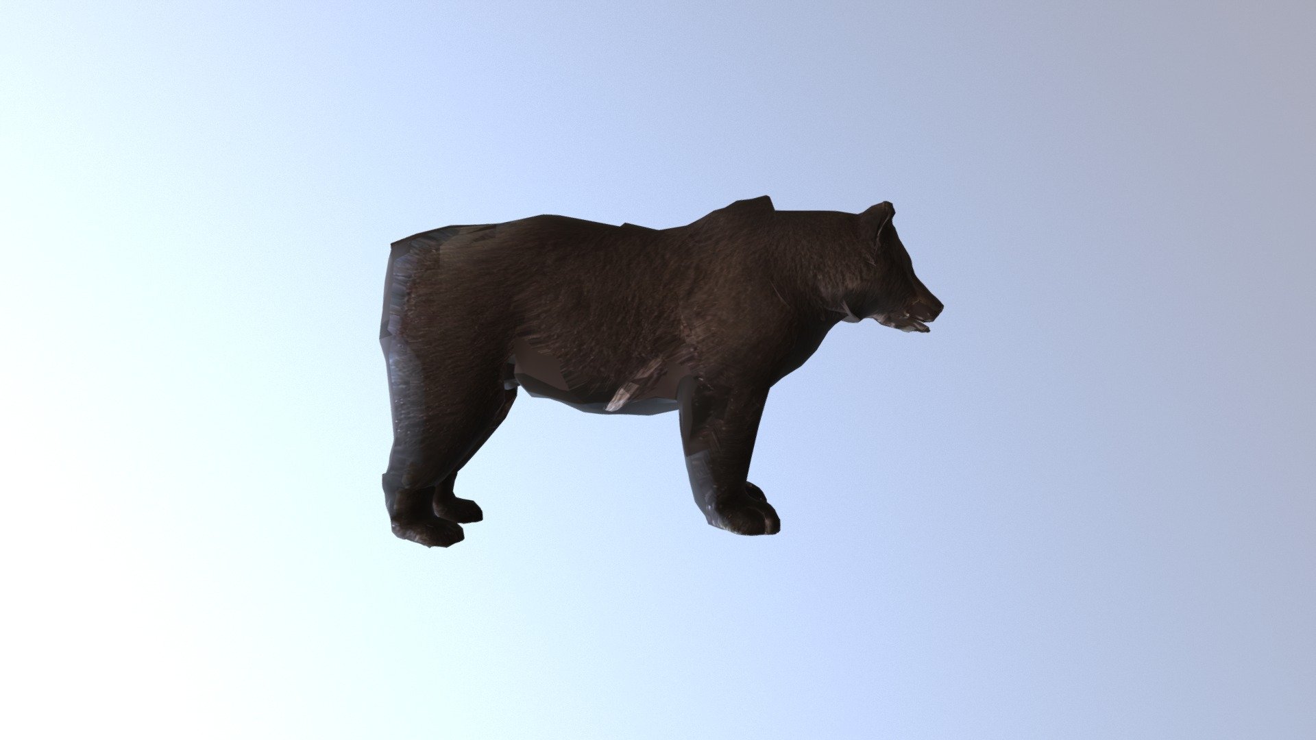 Bear B Tpose - 3D model by SMALR [3c97fc7] - Sketchfab
